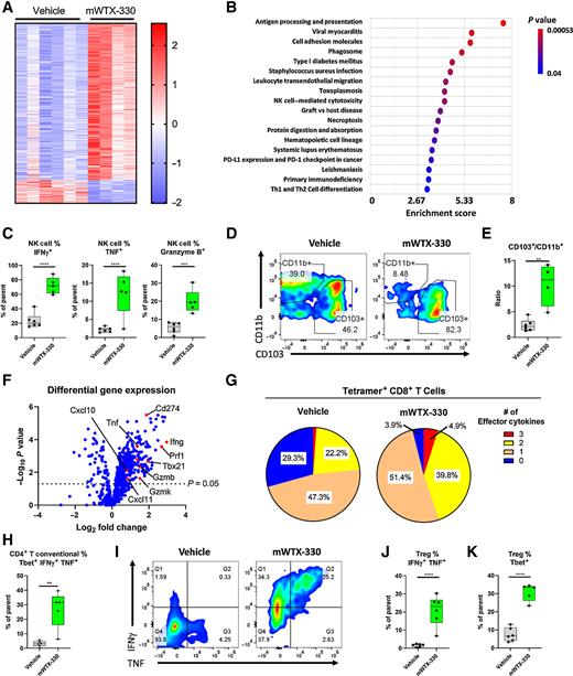 mWTX-330, an IL-12 INDUKINE Molecule, Activates and Reshapes Tumor ...