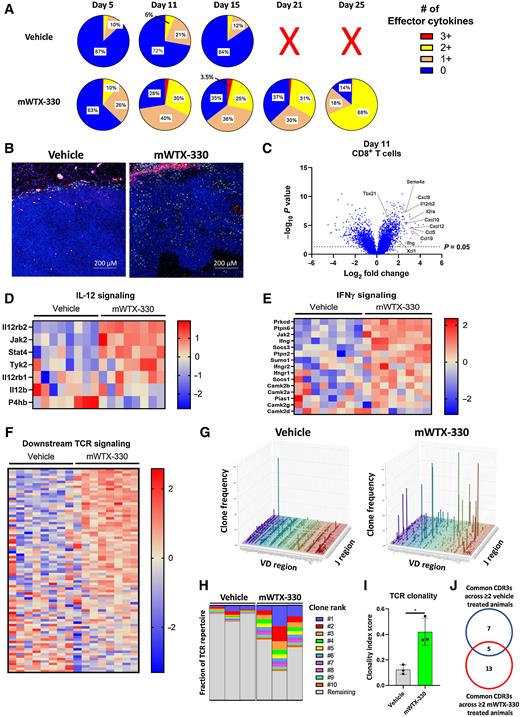mWTX-330, an IL-12 INDUKINE Molecule, Activates and Reshapes Tumor ...
