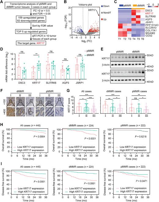 KRT17 Promotes T-lymphocyte Infiltration Through the YTHDF2–CXCL10 Axis ...