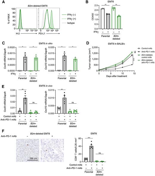 High Expression of MHC Class I Overcomes Cancer Immunotherapy ...