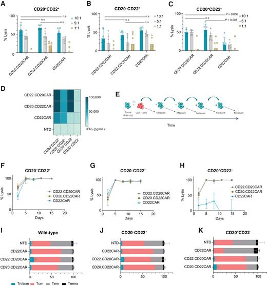 Preclinical Evidence of an Allogeneic Dual CD20xCD22 CAR to Target a ...