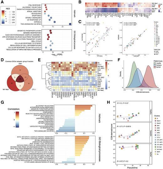 Single-Cell Profiling of CD8+ T Cells in Acute Myeloid Leukemia Reveals ...
