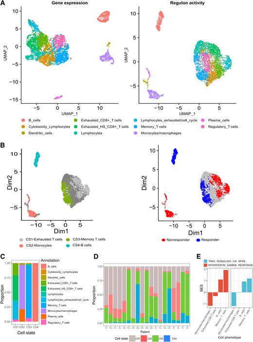 Small Gene Networks Delineate Immune Cell States and Characterize ...