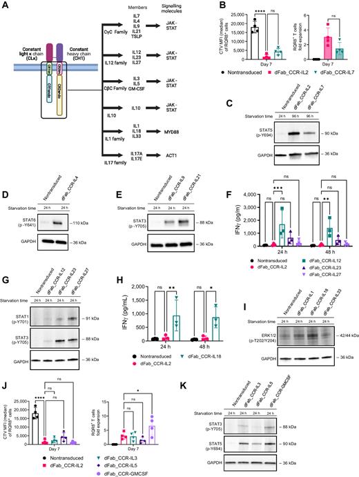 Enhancing CAR T-cell Therapy Using Fab-Based Constitutively ...