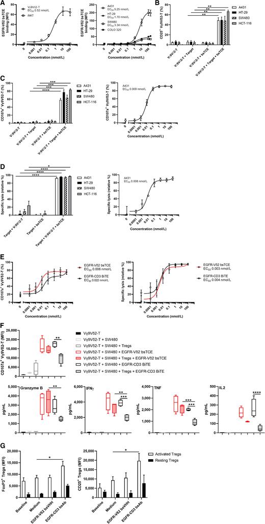 A Bispecific γδ T-cell Engager Targeting EGFR Activates a Potent Vγ9Vδ2 ...