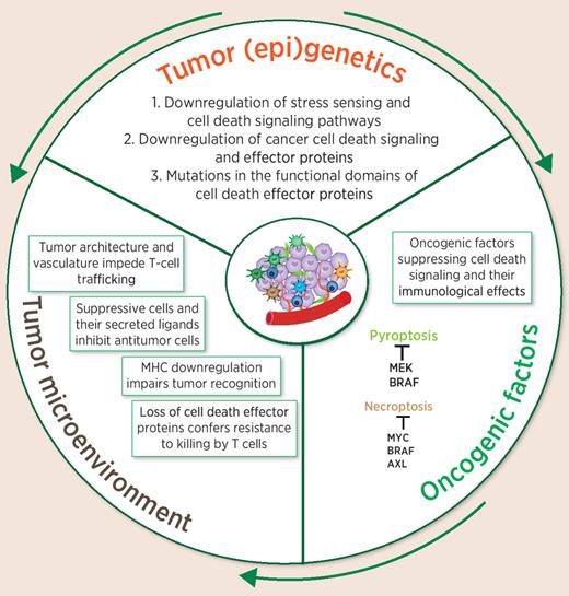Determinants for Antitumor and Protumor Effects of Programmed Cell Death | Cancer Immunology ...