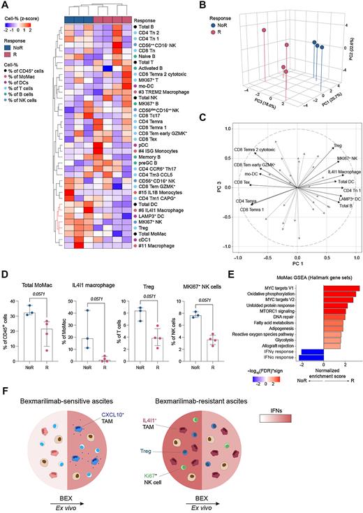 Bexmarilimab Activates Human Tumor-Associated Macrophages to Support ...
