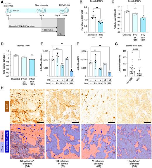 Bexmarilimab Activates Human Tumor-Associated Macrophages to Support ...