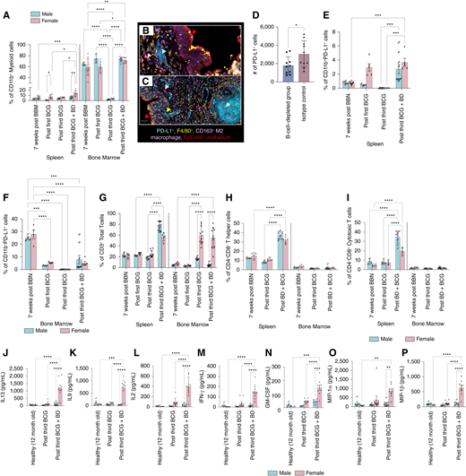 Atypical B Cells Promote Cancer Progression and Poor Response to ...