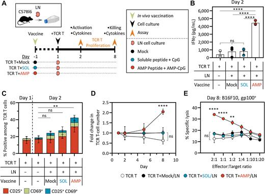 Lymph Node–Targeted Vaccine Boosting of TCR T-cell Therapy Enhances ...