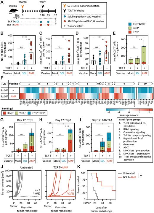 Lymph Node–Targeted Vaccine Boosting of TCR T-cell Therapy Enhances ...