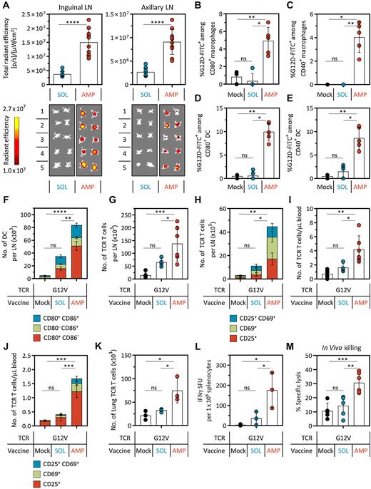 Lymph Node–Targeted Vaccine Boosting of TCR T-cell Therapy Enhances ...