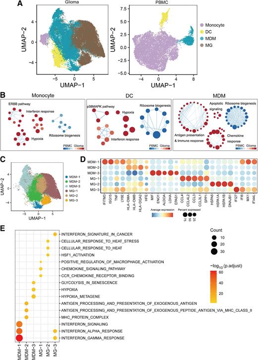 Single-Cell Transcriptomics Reveals the Heterogeneity of the Immune ...