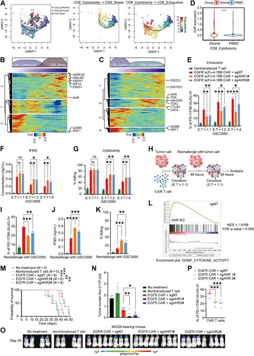Single-Cell Transcriptomics Reveals the Heterogeneity of the Immune ...