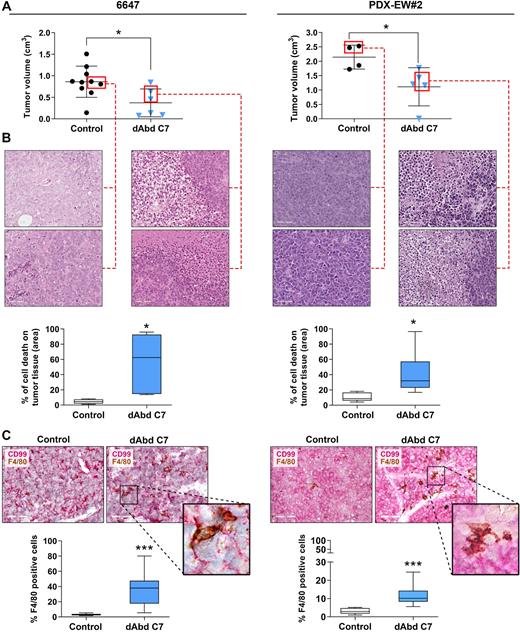 Engagement of CD99 Activates Distinct Programs in Ewing Sarcoma and ...