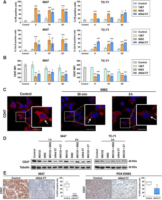 Engagement of CD99 Activates Distinct Programs in Ewing Sarcoma and ...