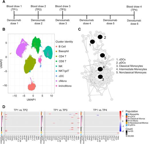 Immune Modulation with RANKL Blockade through Denosumab Treatment in ...