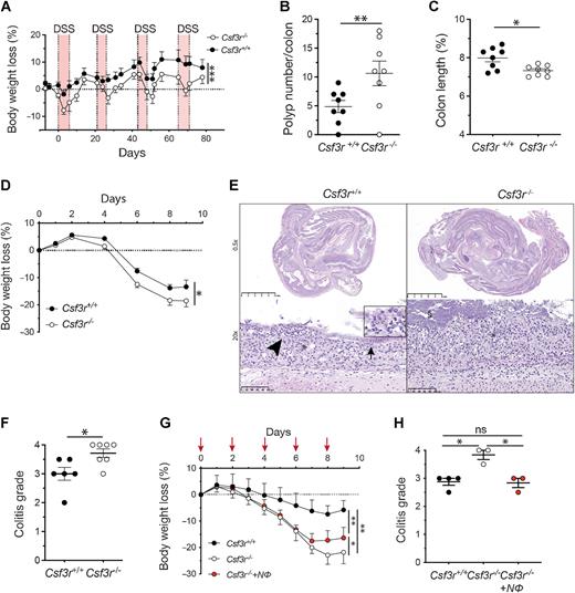 Neutrophils Mediate Protection Against Colitis and Carcinogenesis by ...