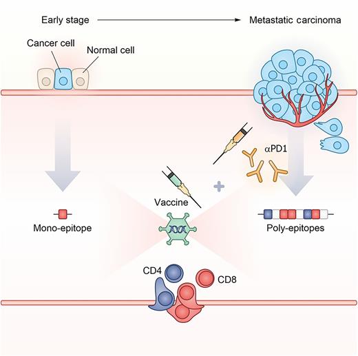 Tumor Burden Dictates the Neoantigen Features Required to Generate an ...