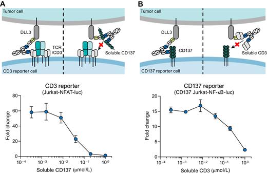 Engineering CD3/CD137 Dual Specificity into a DLL3-Targeted T-Cell ...