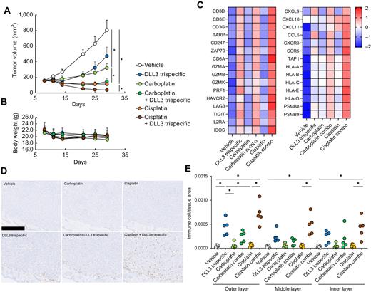 Engineering CD3/CD137 Dual Specificity into a DLL3-Targeted T-Cell ...