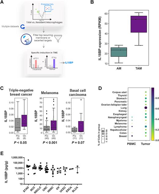 Unleashing Natural IL18 Activity Using an Anti-IL18BP Blocker Induces ...