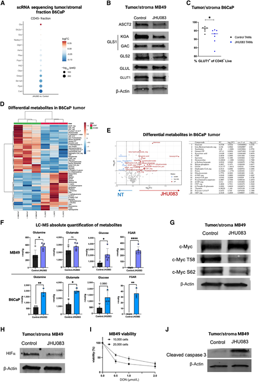 Metabolic Reprogramming of Tumor-Associated Macrophages Using Glutamine ...