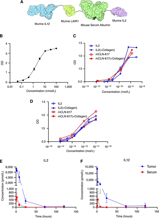 CLN-617 Retains IL2 and IL12 in Injected Tumors to Drive Robust and ...
