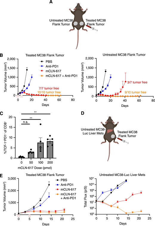 CLN-617 Retains IL2 and IL12 in Injected Tumors to Drive Robust and ...