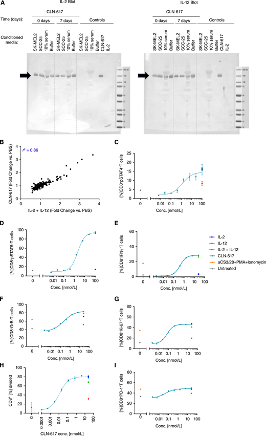 CLN-617 Retains IL2 and IL12 in Injected Tumors to Drive Robust and ...