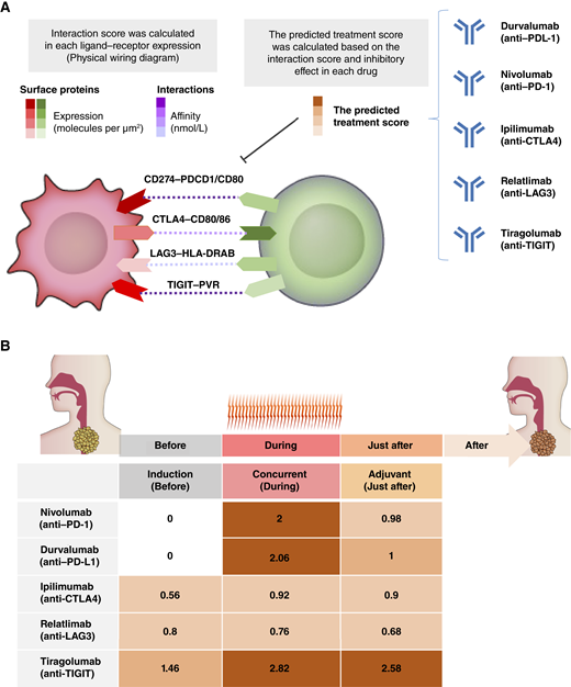 Mathematical Modeling Predicts Optimal Immune Checkpoint Inhibitor and ...
