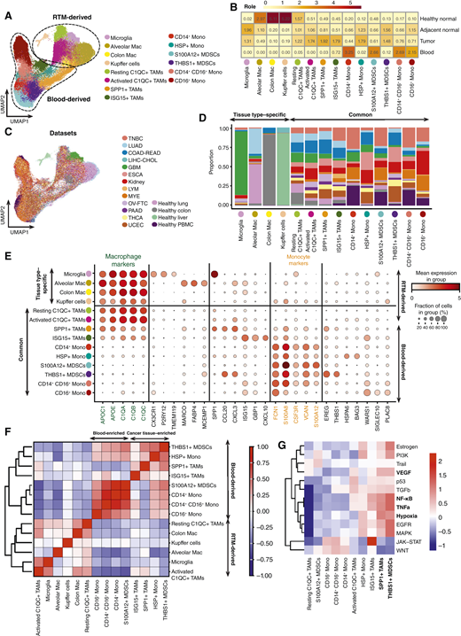 Pan-Cancer Single-Cell RNA Sequencing Analysis Refines Multi-Origin ...