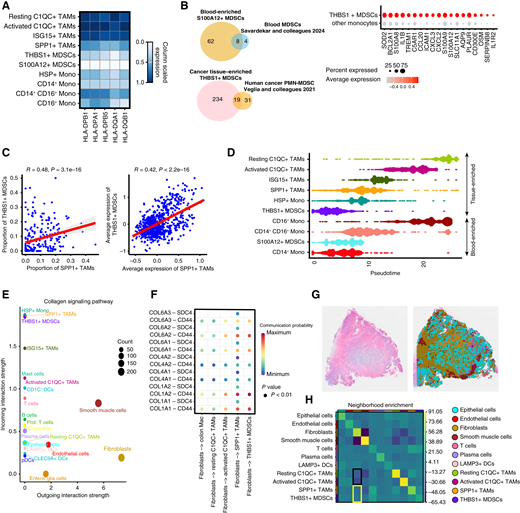 Pan-Cancer Single-Cell RNA Sequencing Analysis Refines Multi-Origin ...
