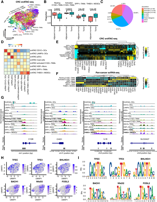 Pan-Cancer Single-Cell RNA Sequencing Analysis Refines Multi-Origin ...