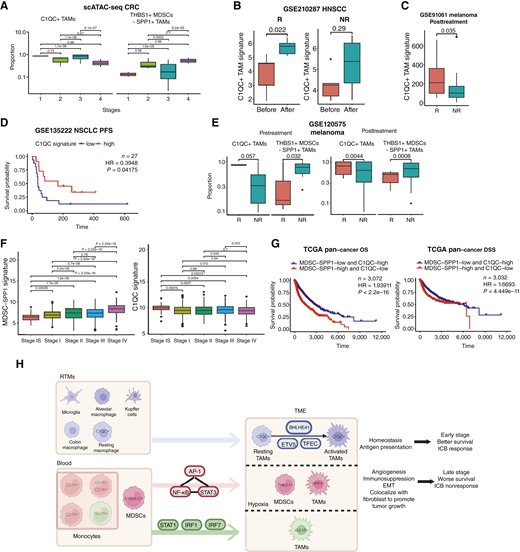 Pan-Cancer Single-Cell RNA Sequencing Analysis Refines Multi-Origin ...