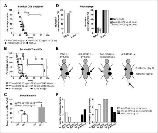 Locally Delivered CD40 Agonist Antibody Accumulates in Secondary ...