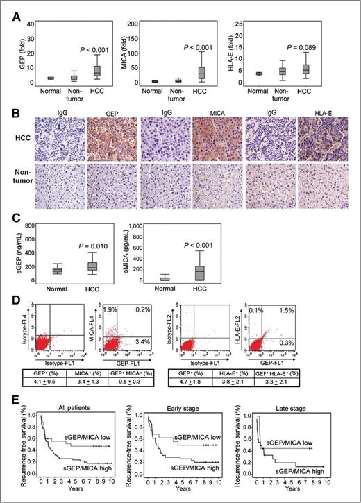 Granulin–Epithelin Precursor Renders Hepatocellular Carcinoma Cells ...