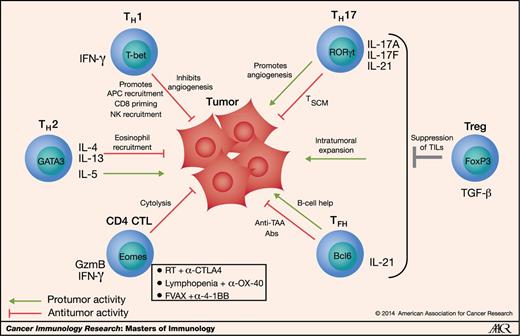 CD4 T-cell Subsets and Tumor Immunity: The Helpful and the Not-so ...
