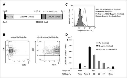 Gene-Modified Human α/β-T Cells Expressing a Chimeric CD16-CD3ζ ...