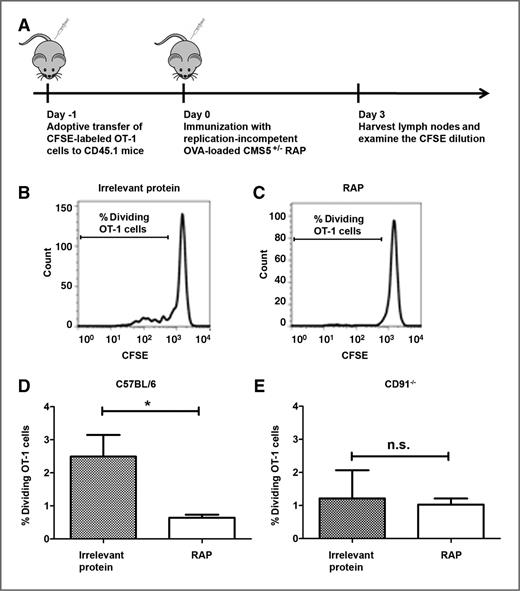 Establishment of Tumor-Associated Immunity Requires Interaction of Heat ...