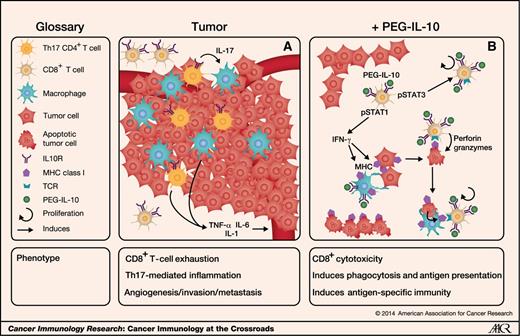 IL-10: Master Switch from Tumor-Promoting Inflammation to Antitumor ...