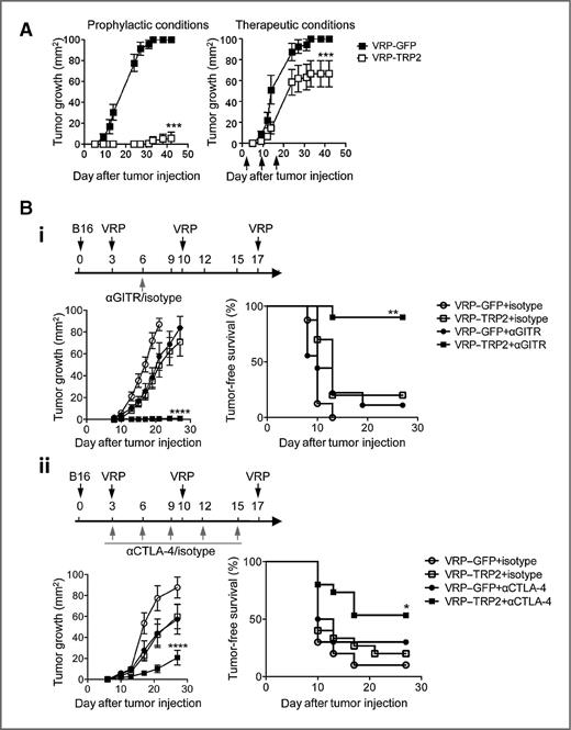 Combination of Alphavirus Replicon Particle–Based Vaccination with ...