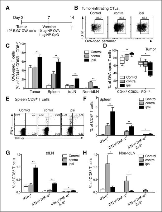 Enhancing Efficacy of Anticancer Vaccines by Targeted Delivery to Tumor ...