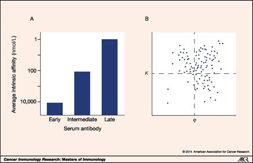 Affinity Enhancement of Antibodies: How Low-Affinity Antibodies ...