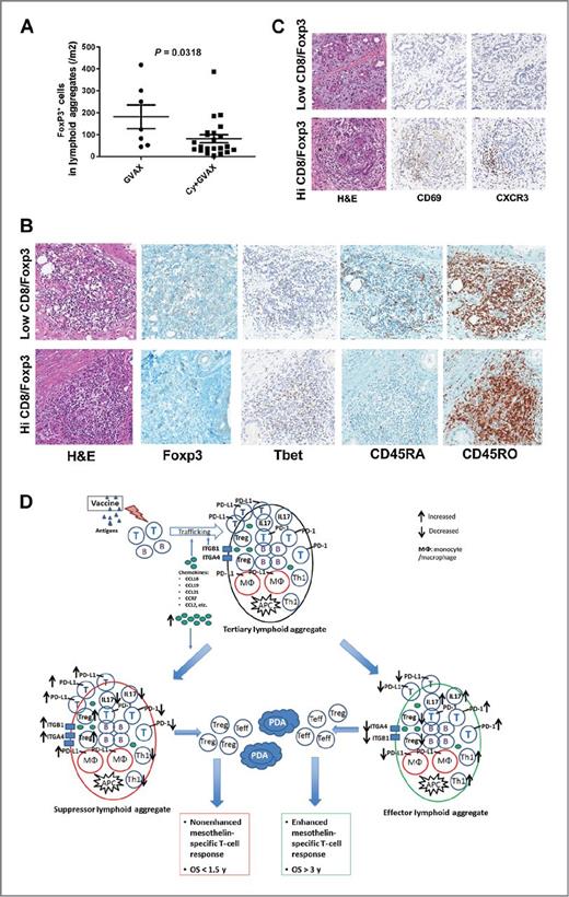 Immunotherapy Converts Nonimmunogenic Pancreatic Tumors into ...
