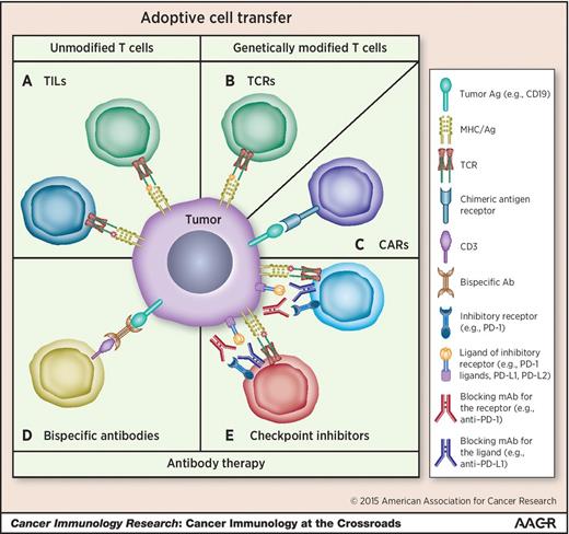 T-cell–based Immunotherapy: Adoptive Cell Transfer and Checkpoint ...