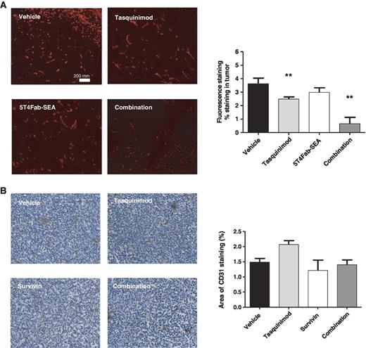 Tasquinimod Modulates Suppressive Myeloid Cells and Enhances Cancer ...