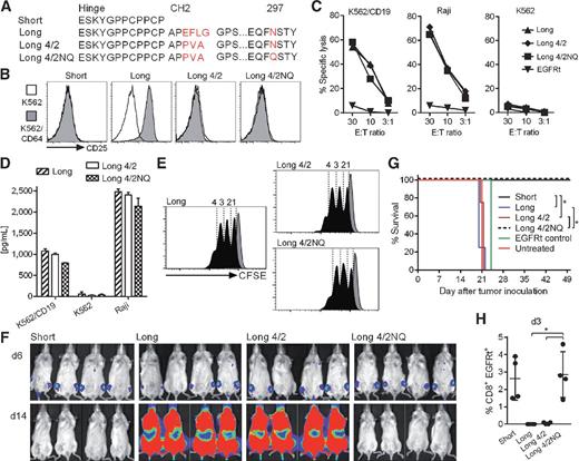 The Nonsignaling Extracellular Spacer Domain of Chimeric Antigen ...