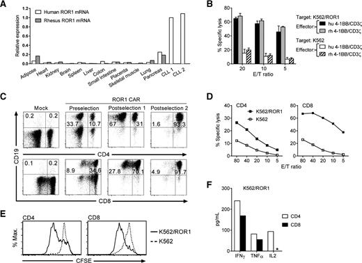 Safety of Targeting ROR1 in Primates with Chimeric Antigen Receptor ...