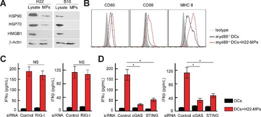 Cell-free Tumor Microparticle Vaccines Stimulate Dendritic Cells via ...
